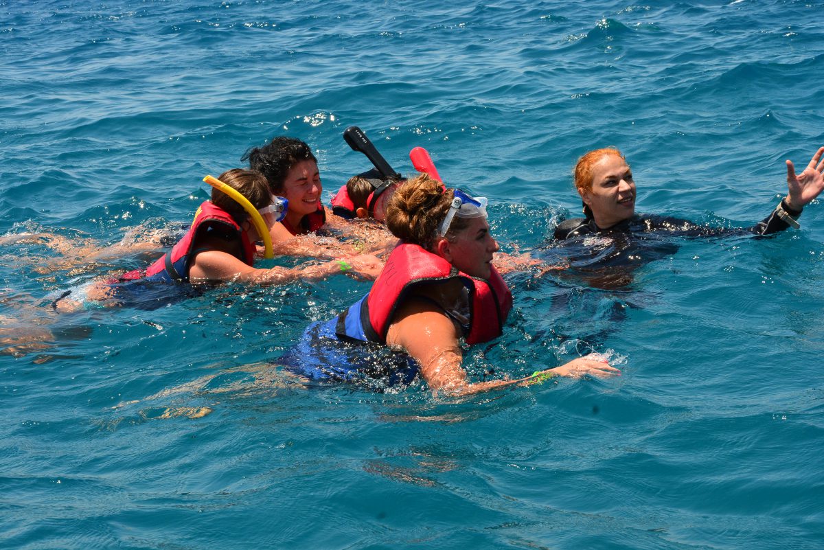 Dive Boats & Liveaboards in Sharm El Sheikh | Pyramids Diving Center