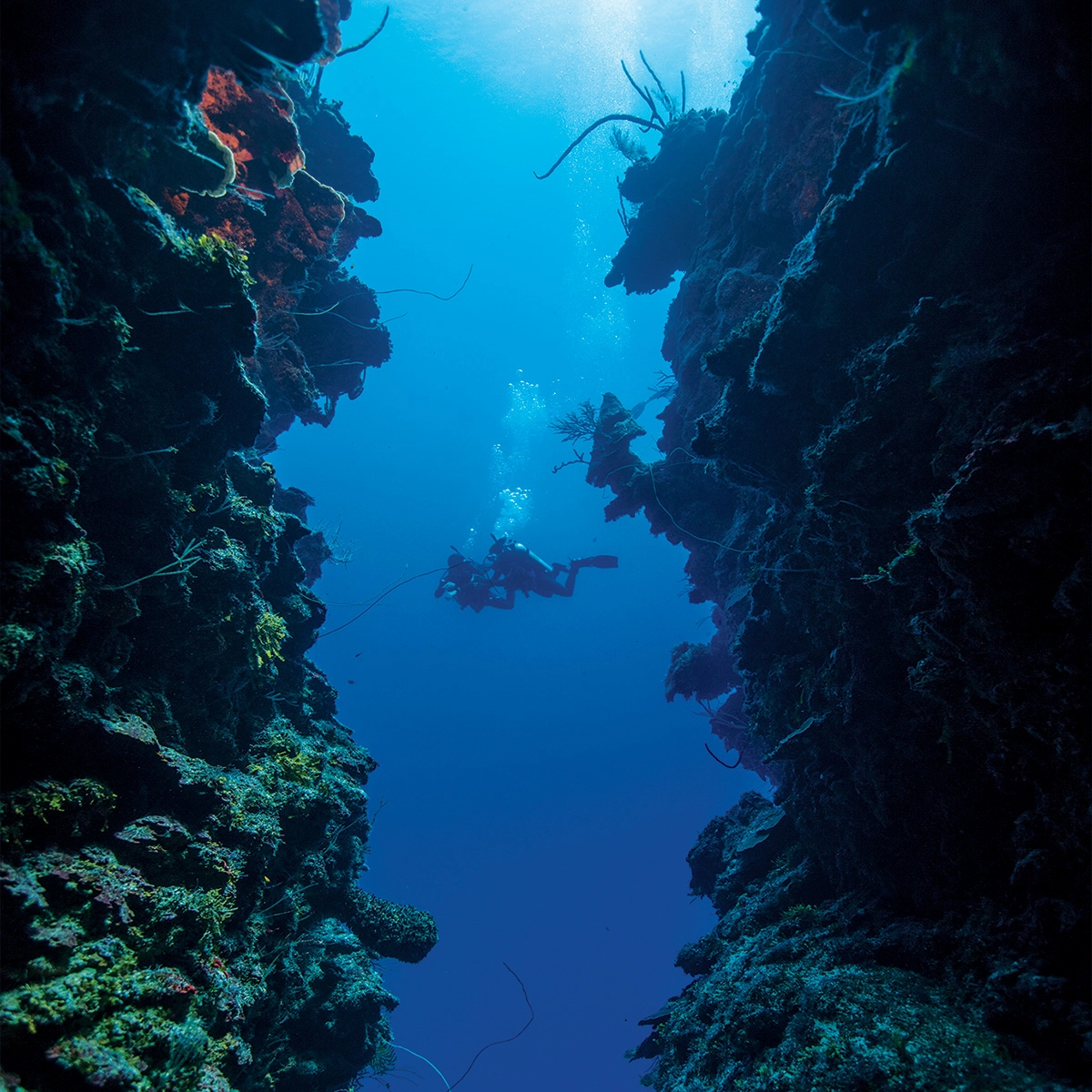 PADI Deep Diver Course in Sharm El Sheikh | Pyramids Diving Center