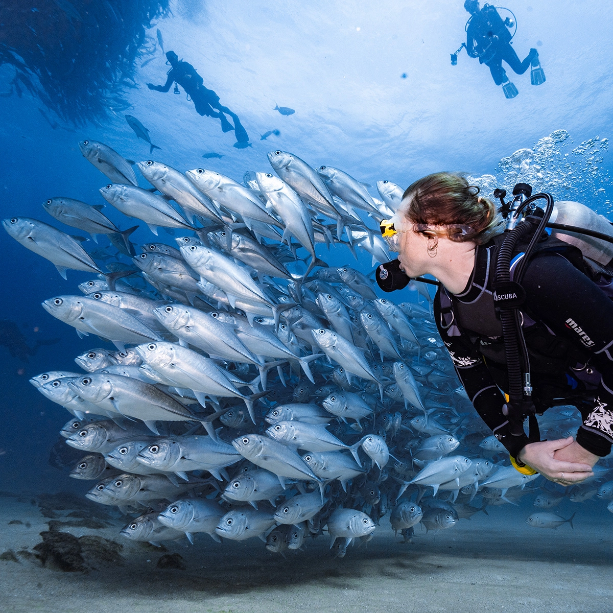 PADI Divemaster Course in Sharm El Sheikh | Pyramids Diving Center
