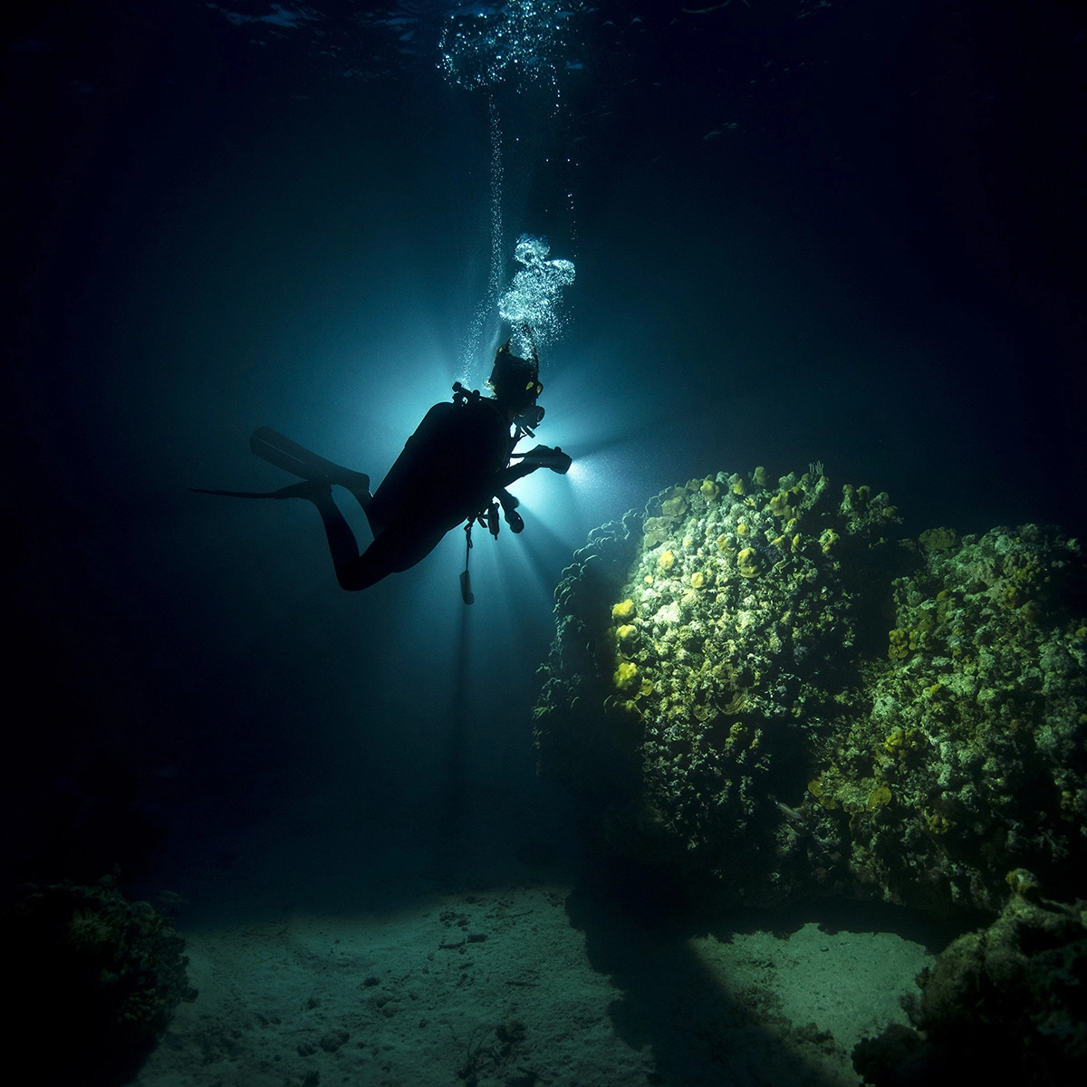 PADI Night Diver Specialty Course – Sharm El Sheikh | Pyramids Diving ...