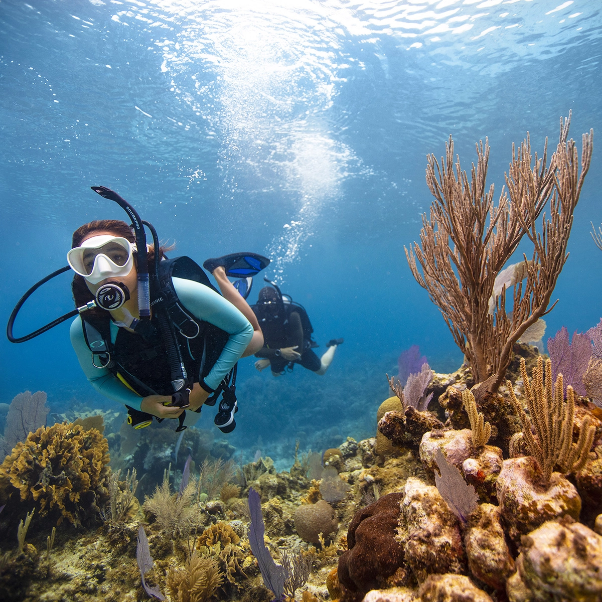 PADI Open Water Diver Course Sharm El Sheikh | Get Certified with ...