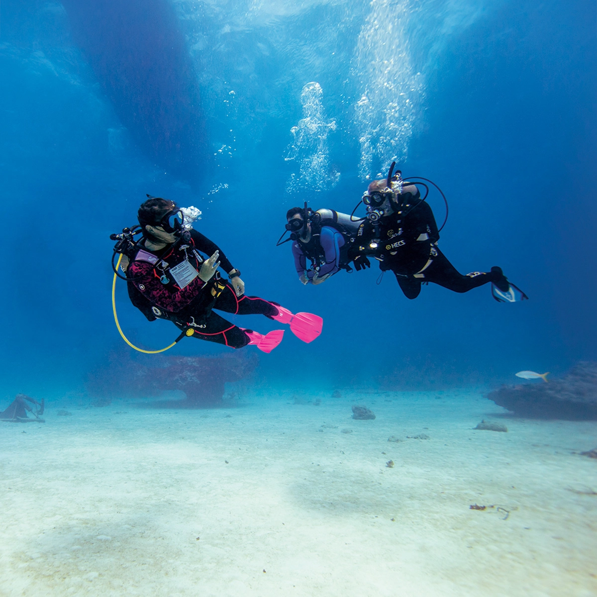 PADI Scuba Diver Course Sharm El Sheikh | Fast Certification at ...